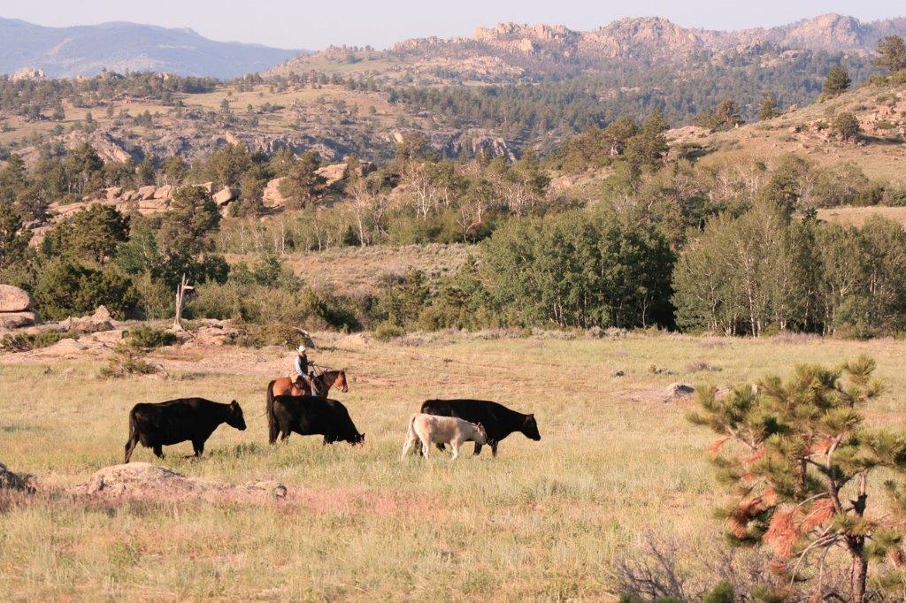 Powderhorn Ranch - The Dude Ranchers Association