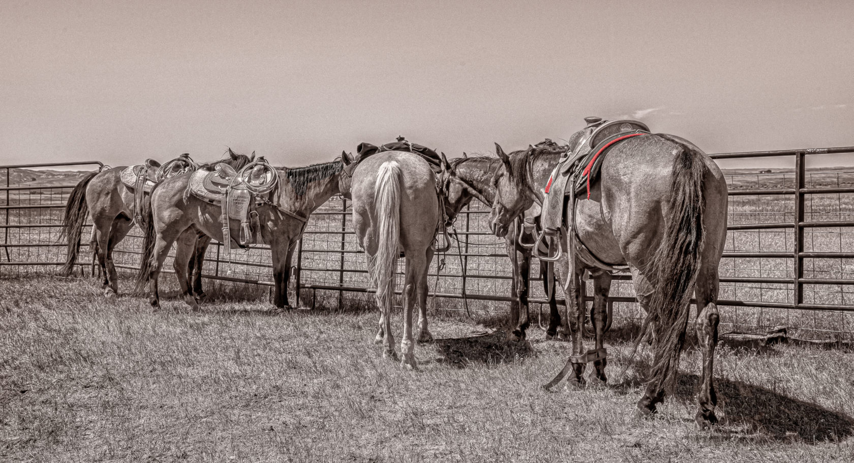UXU Ranch - The Dude Ranchers Association