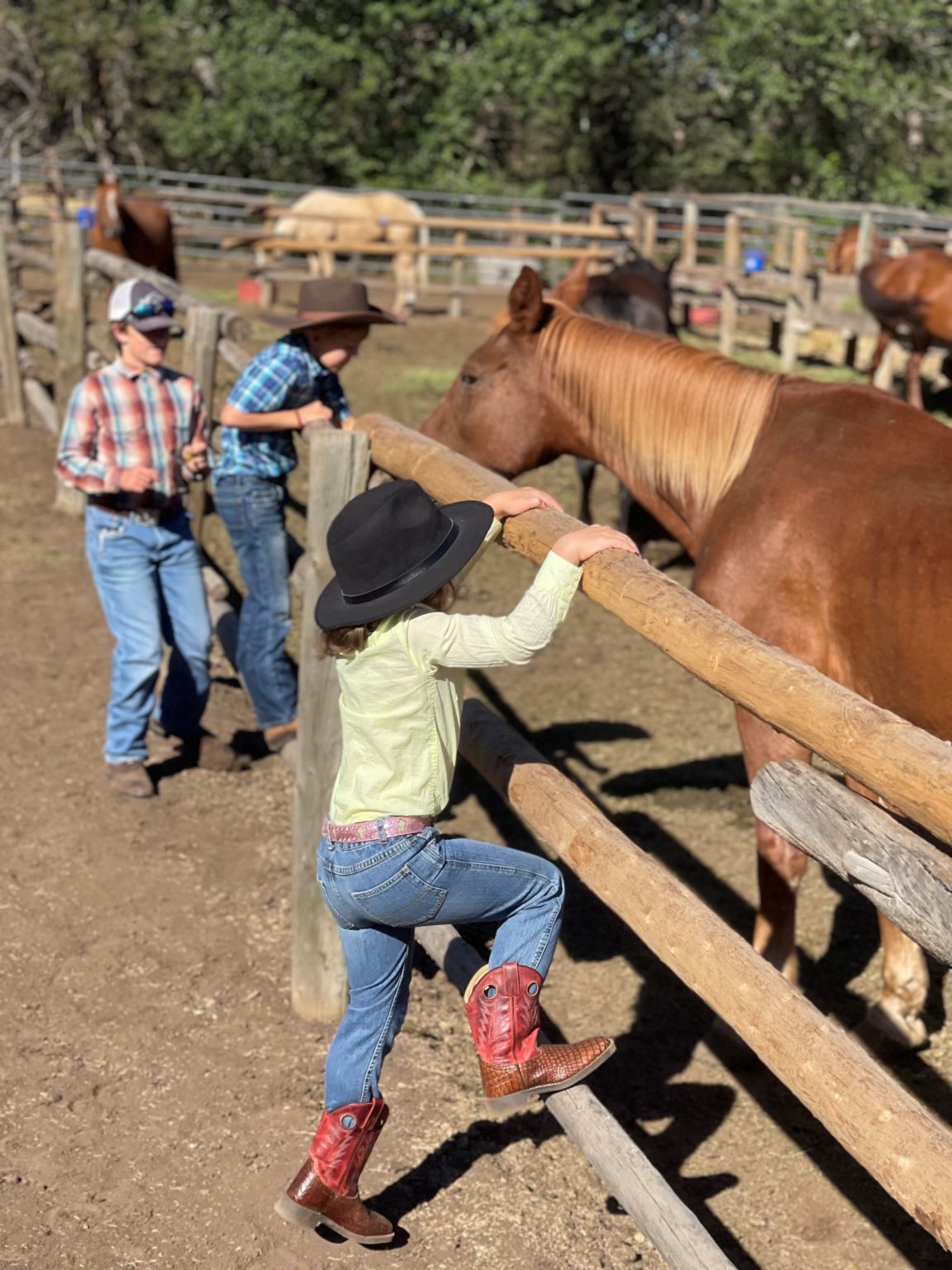 UXU Ranch - The Dude Ranchers Association
