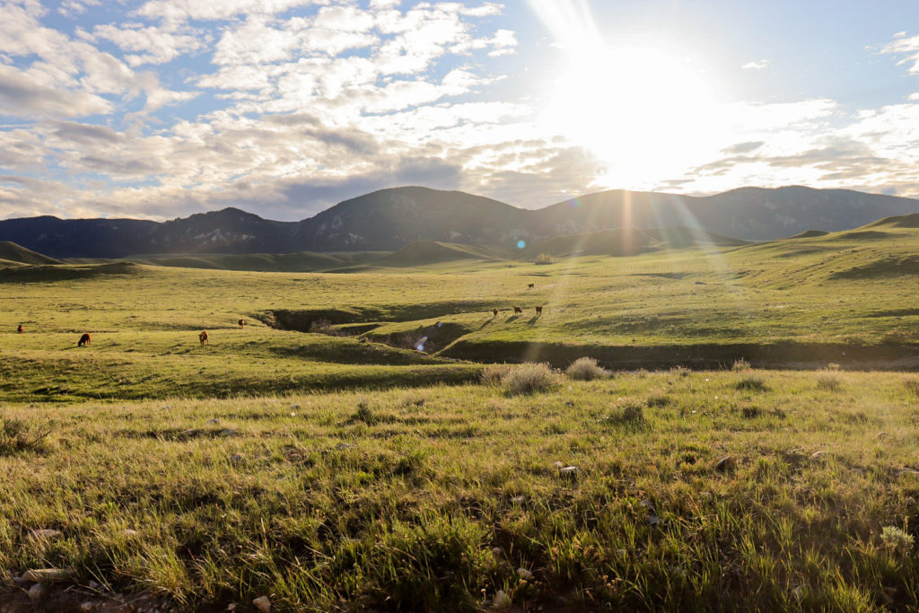 TA Ranch - The Dude Ranchers Association