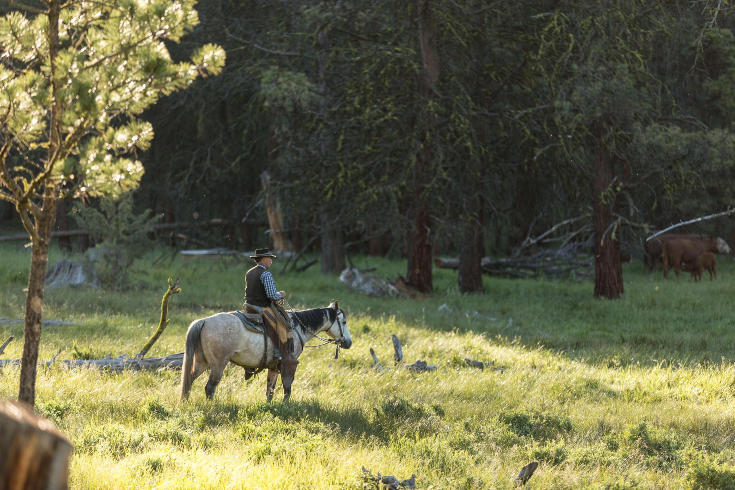 The Retreat at Silvies Valley Ranch - The Dude Ranchers Association