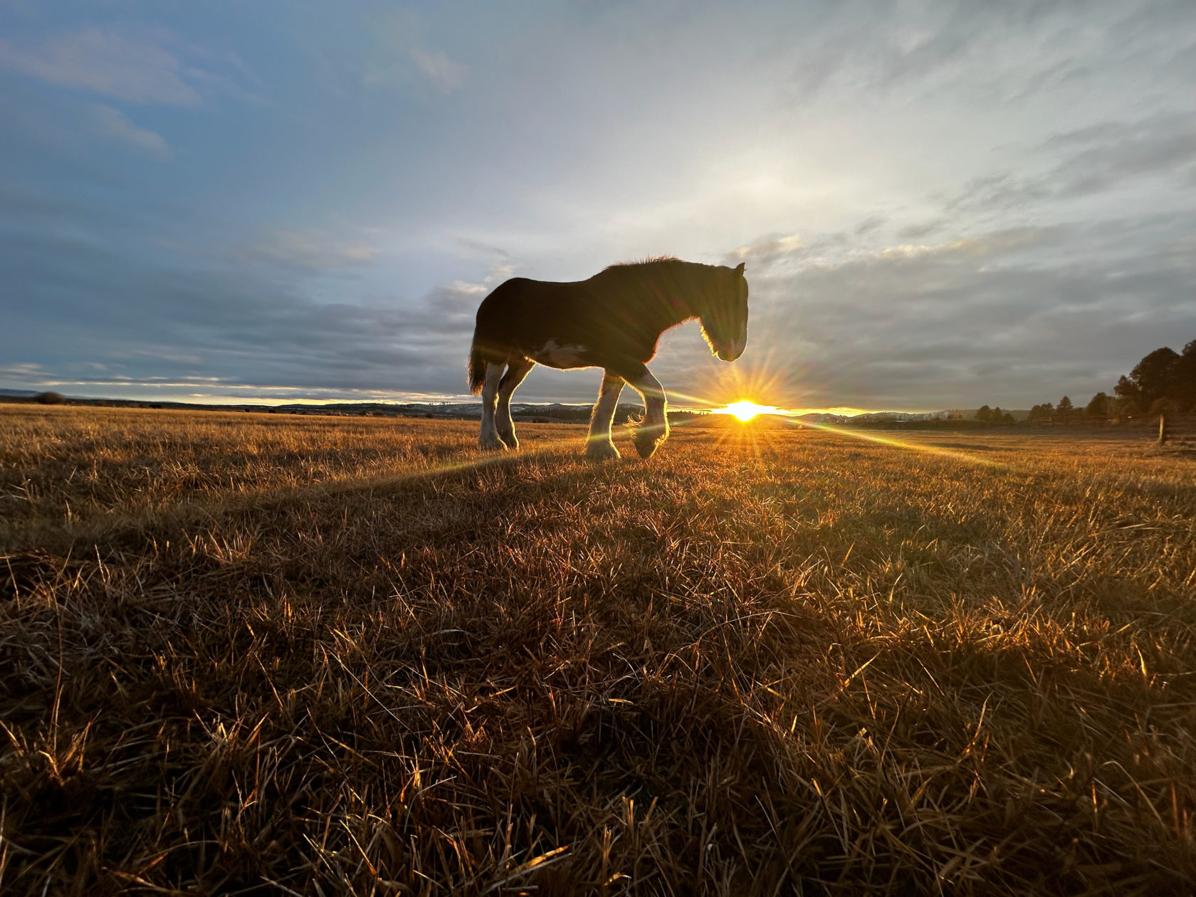 The Retreat at Silvies Valley Ranch - The Dude Ranchers Association
