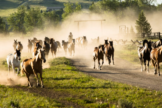 Dude & Guest Ranch Vacations - The Dude Ranchers Association