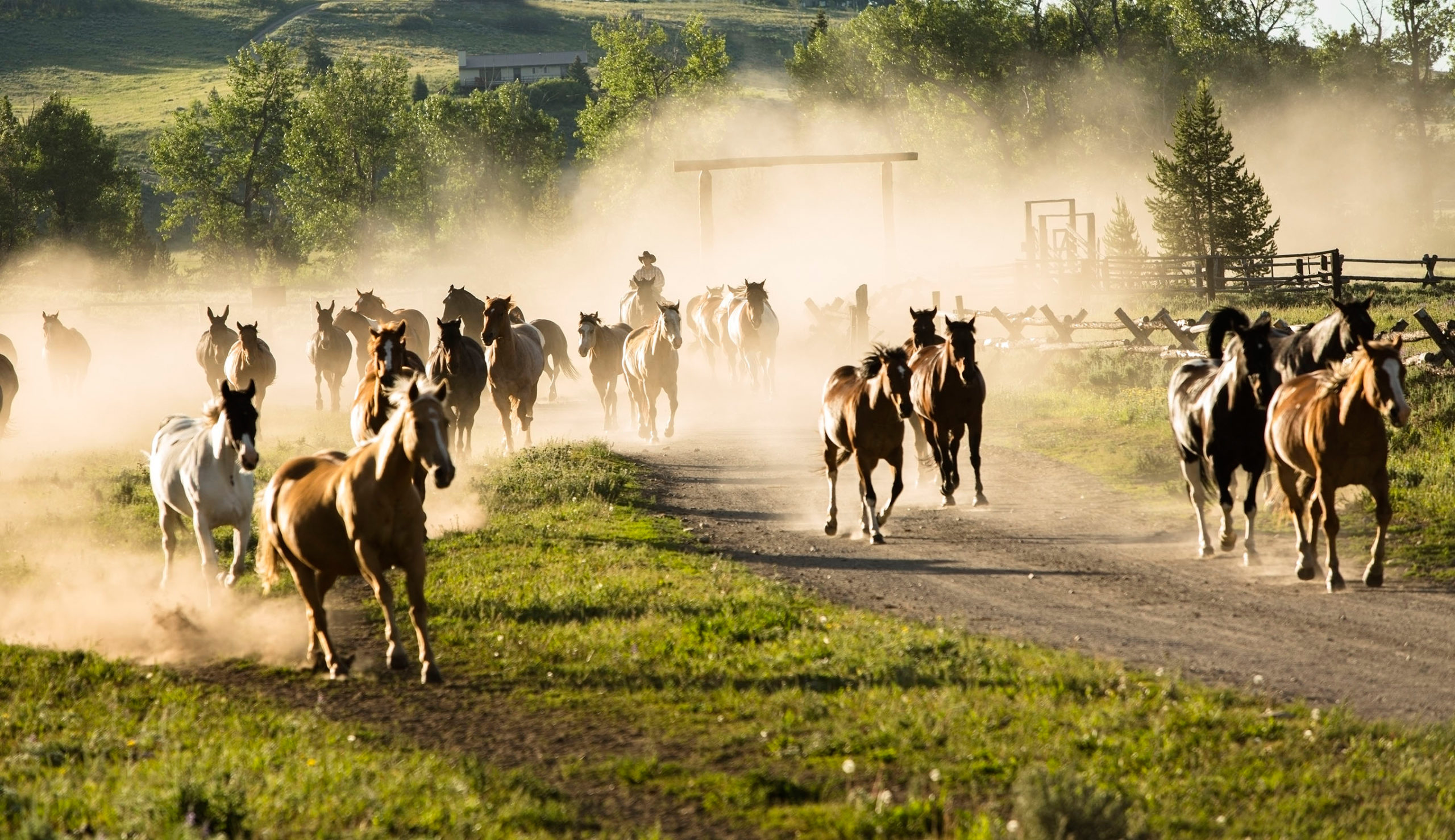 Book Your 2024 Dude Ranch Vacation! | The Dude Ranchers' Association