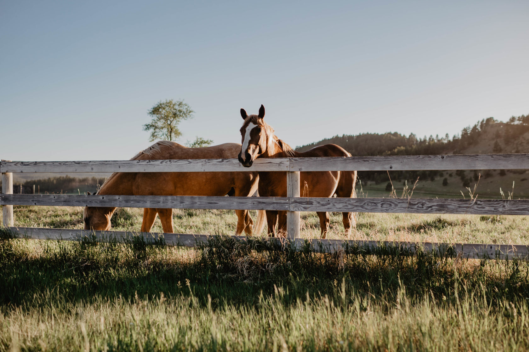 Choosing the Best Ranch - The Dude Ranchers Association